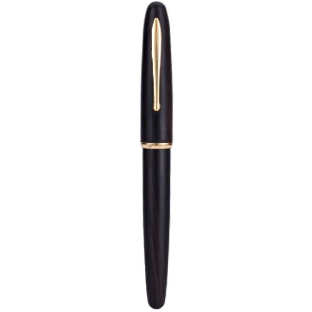HONGDIAN, Fountain Pen - 660 BLACK GT. — SWASTIK penn